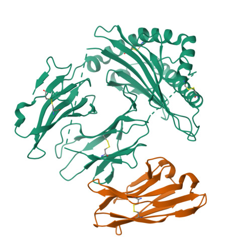 RCSB PDB - 7SRK: Single chain trimer HLA-A*24:02 (Y108C, A163C) with ...