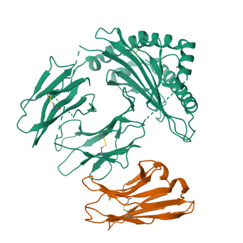 RCSB PDB - 7SSH: Single chain trimer HLA-A*02:01 (Y108A) with HPV.16 E7 ...