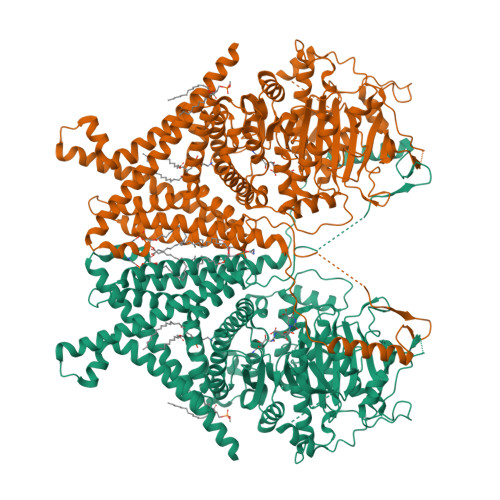 RCSB PDB - 7STO: Chitin Synthase 2 from Candida albicans bound to ...