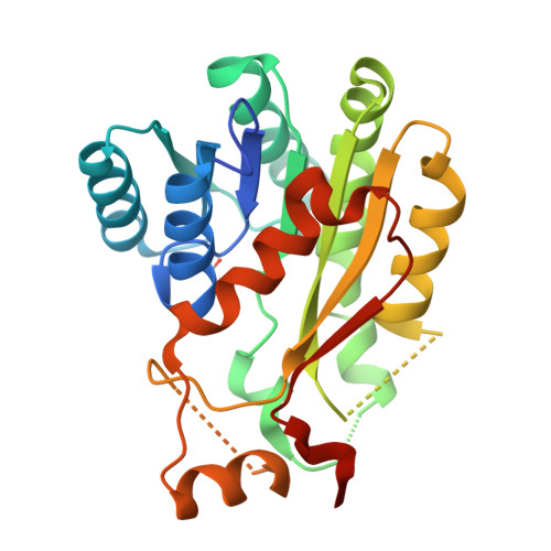 RCSB PDB - 7SUB: 3-oxoacyl-ACP reductase FabG
