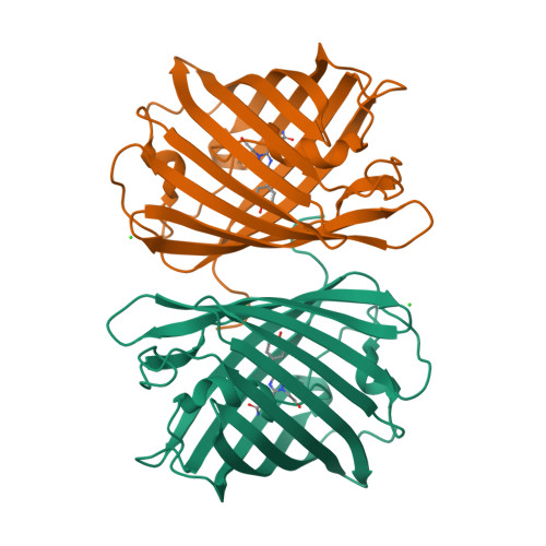 RCSB PDB - 7SWS: Crystal structure of the chromoprotein amilCP
