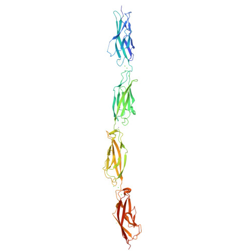 RCSB PDB - 7SZ8: Crystal structure of human CELSR1 EC4-7