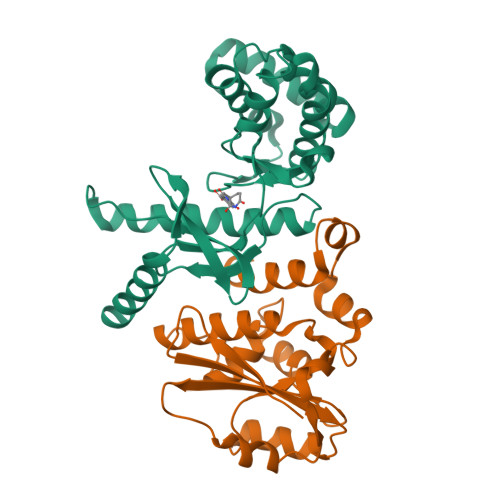 RCSB PDB - 7SZD: Crystal Structure Analysis of human PRPK complex with ...