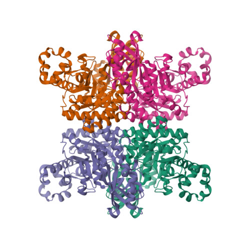 RCSB PDB - 7T1C: Crystal structure of RUBISCO from Sulfurivirga ...
