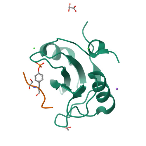 RCSB PDB - 7T1K: Crystal structure of a superbinder Fes SH2 domain ...