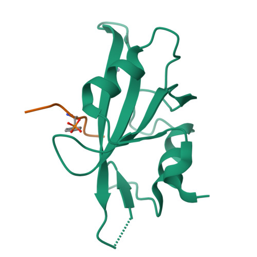 RCSB PDB - 7T1U: Crystal structure of a superbinder Src SH2 domain ...