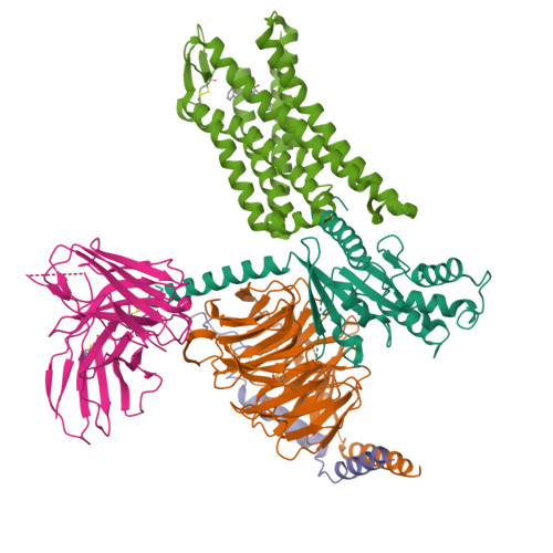 RCSB PDB - 7T2H: CryoEM structure of mu-opioid receptor - Gi protein ...