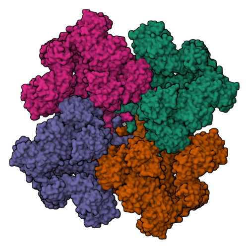 RCSB PDB - 7T3Q: IP3 and ATP bound type 3 IP3 receptor in the pre ...
