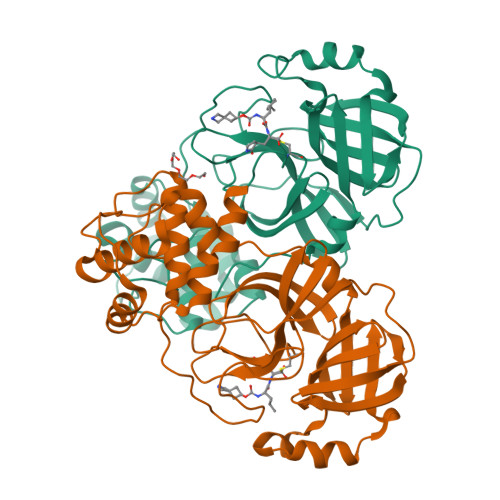 RCSB PDB - 7T44: Structure of SARS-CoV-2 3CL protease in complex with ...