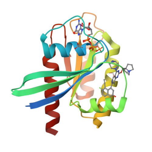 RCSB PDB - 7T47: KRAS G12D (GppCp) with MRTX-1133