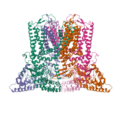 RCSB PDB - 7T6L: Cryo-EM structure of TRPV5 at pH5 in nanodiscs