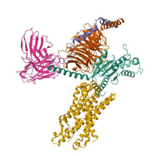 RCSB PDB - 7T6U: Structure of the human FPR2-Gi complex with CGEN-855A