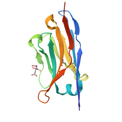 RCSB PDB - 7T84: Structure of angiotensin II type I receptor (AT1R ...