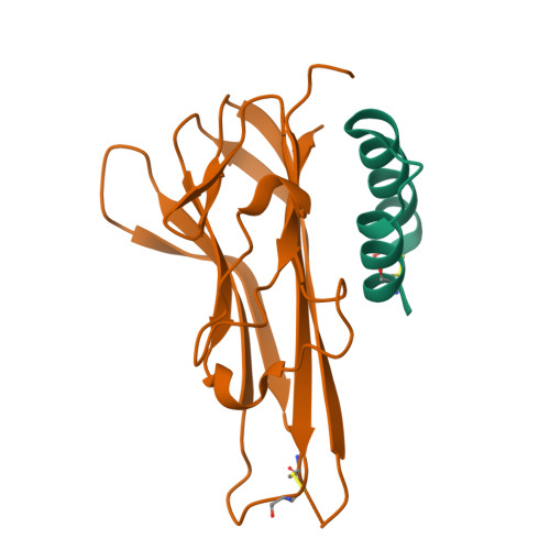 RCSB PDB - 7TA3: Trimer-to-Monomer Disruption of Tumor Necrosis Factor ...
