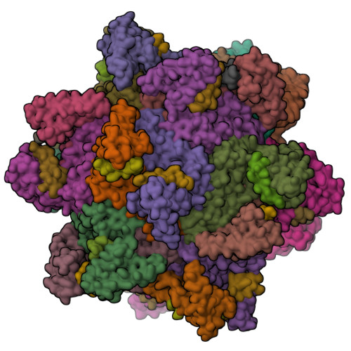 RCSB PDB - 7TBH: cryo-EM structure of MBP-KIX-apoferritin complex with ...