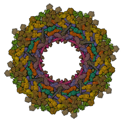 RCSB PDB - 7TBL: Composite structure of the human nuclear pore complex ...