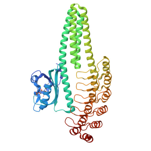 RCSB PDB - 7TCD: LOV2-DARPIN fusion: D13