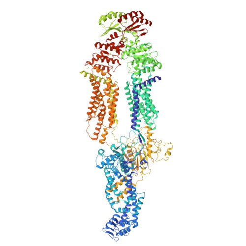 RCSB PDB - 7TDT: Cryo-EM structure of nanodisc-embedded human ABCA1