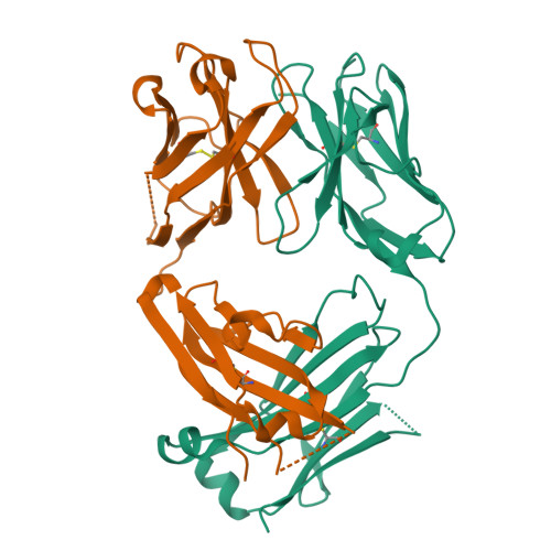 RCSB PDB - 7TE4: Crystal structure of Fab2 anti-GluN2B antibody