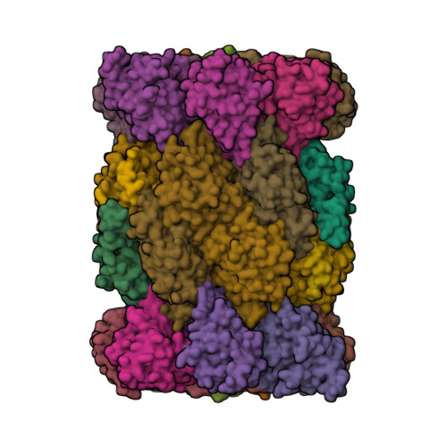 RCSB PDB - 7TEO: Cryo-EM structure of the 20S Alpha 3 Deletion ...