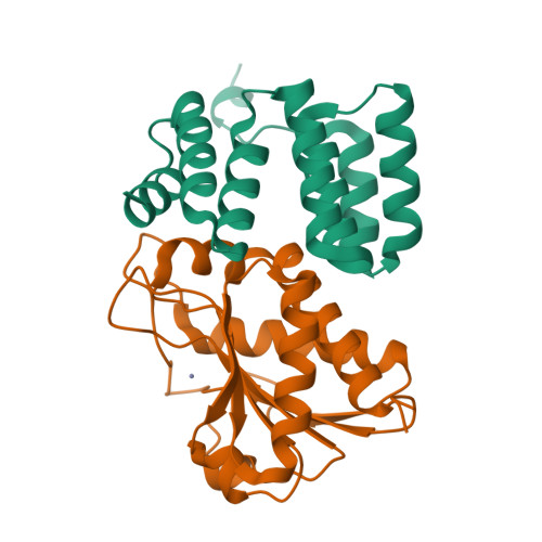 RCSB PDB - 7TJ4: Structure of the S. aureus amidase LytH and activator ...