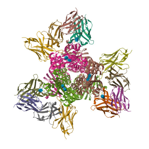 RCSB PDB - 7TJQ: SAN27-14 bound to a antigenic site V on prefusion ...