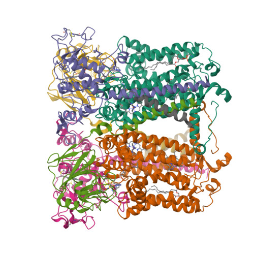 RCSB PDB - 7TLJ: Rhodobacter sphaeroides Mitochondrial respiratory ...