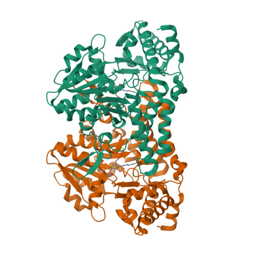 RCSB PDB - 7TLM: Structure of Atopobium parvulum SufS