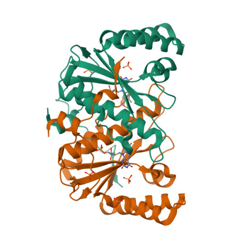 RCSB PDB - 7TMG: Crystal Structure of NAD(P)H nitroreductase from ...