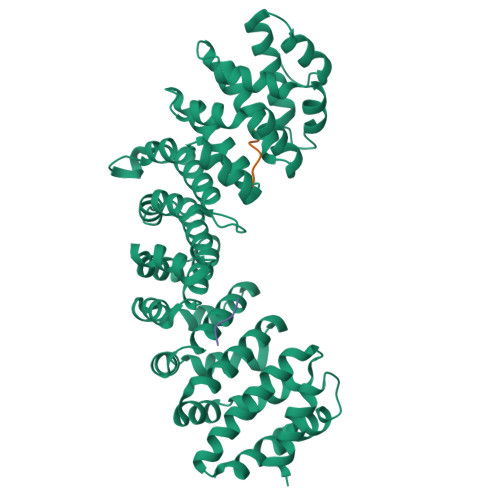 RCSB PDB - 7TMX: Structure of Mouse Importin alpha NEIL1 NLS Peptide ...