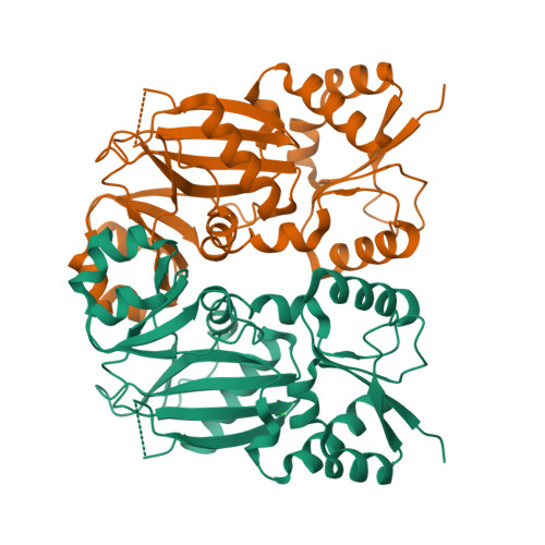RCSB PDB - 7TN3: Crystal structure of Zea mays Inositol-tetrakisphosphate Kinase 1 mutant ...