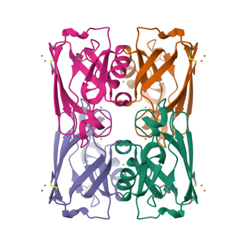 RCSB PDB - 7TNC: M13F/G116F Pseudomonas aeruginosa azurin