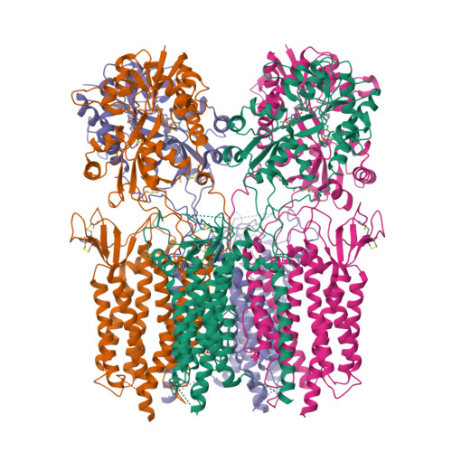 RCSB PDB - 7TNO: Complex GGGN of AMPA-subtype iGluR GluA2 in complex ...