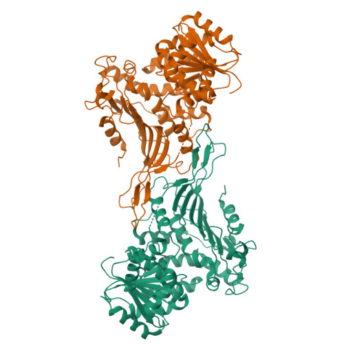 RCSB PDB - 7TOF: Structure of G6PD-WT dimer with no symmetry applied
