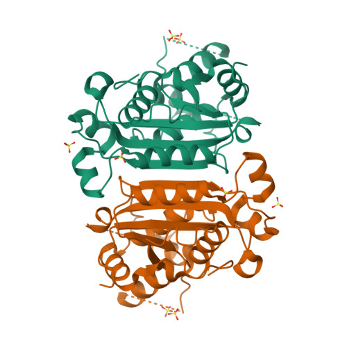 RCSB PDB - 7TQP: Structure of human TREX1