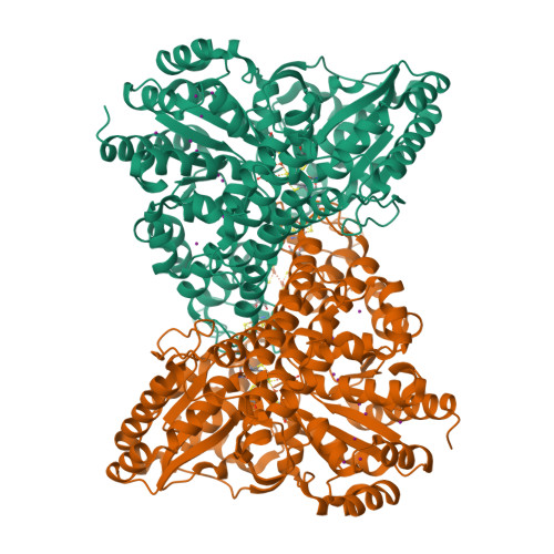 RCSB PDB - 7TSJ: Xenon-bound structure of carbon monoxide dehydrogenase ...
