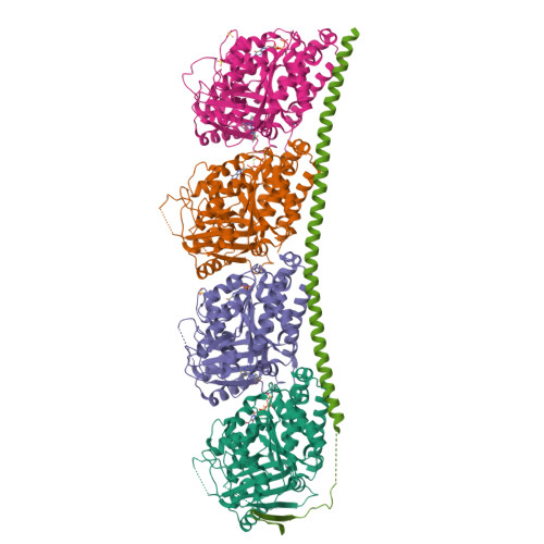RCSB PDB - 7TTE: Tubulin-RB3_SLD in complex with compound 12j