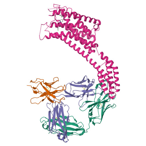 RCSB PDB - 7TUY: Cryo-EM structure of GSK682753A-bound EBI2/GPR183