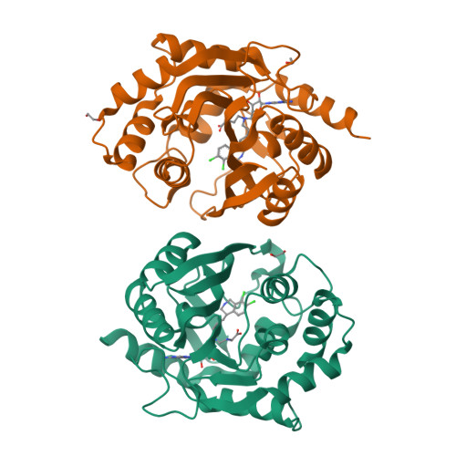 RCSB PDB - 7TX2: Crystal structure of human phenylethanolamine N ...
