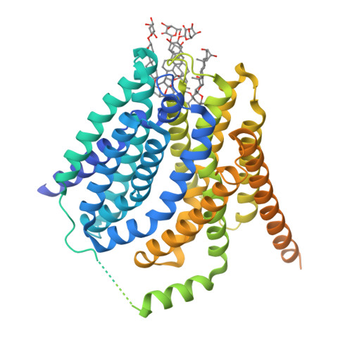 RCSB PDB - 7TX7: Cryo-EM structure of the human reduced folate carrier