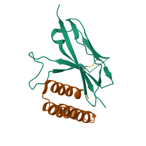 RCSB PDB - 7TYD: Crystal structure of FGFR4 domain 3 in complex with a ...