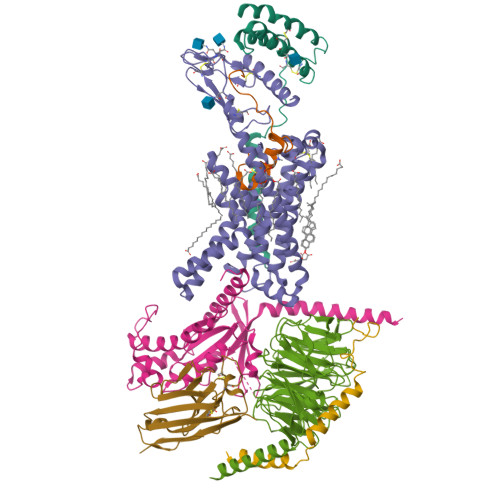RCSB PDB - 7TZF: Human Amylin3 Receptor in complex with Gs and rat ...