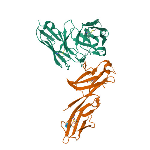 RCSB PDB - 7TZH: Structure of human LAG3 domains 3-4 in complex with ...