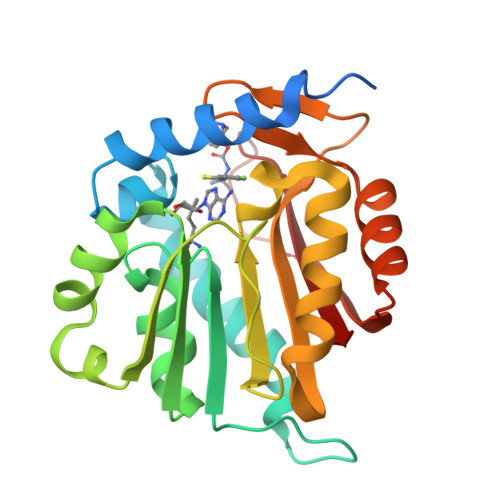 RCSB PDB - 7U1M: Crystal structure of NTMT1 in complex with compound YD206