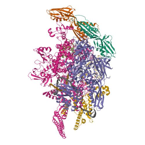 RCSB PDB - 7U22: Mycobacterium tuberculosis RNA polymerase sigma A ...