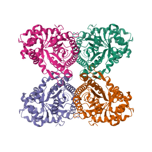 RCSB PDB - 7U5J: Cryo-EM Structure of ALDOA