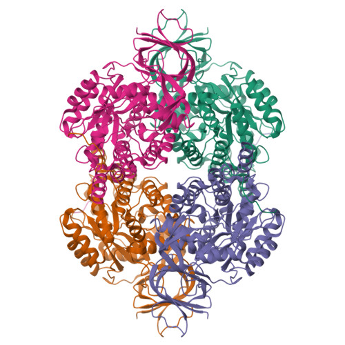 RCSB PDB - 7U5K: Cryo-EM Structure of DPYSL2
