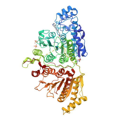 RCSB PDB - 7U6B: Crystal Structure of Danio rerio Histone Deacetylase ...