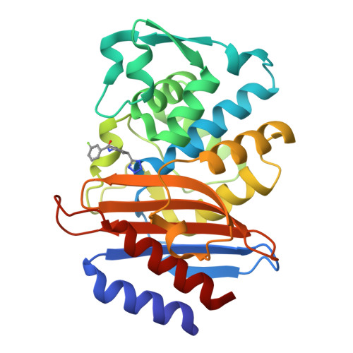 RCSB PDB - 7U70: Crystal Structure of CTX-M-14 with compound 2