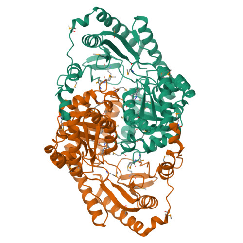 RCSB PDB - 7U7H: Cysteate acyl-ACP transferase from Alistipes finegoldii